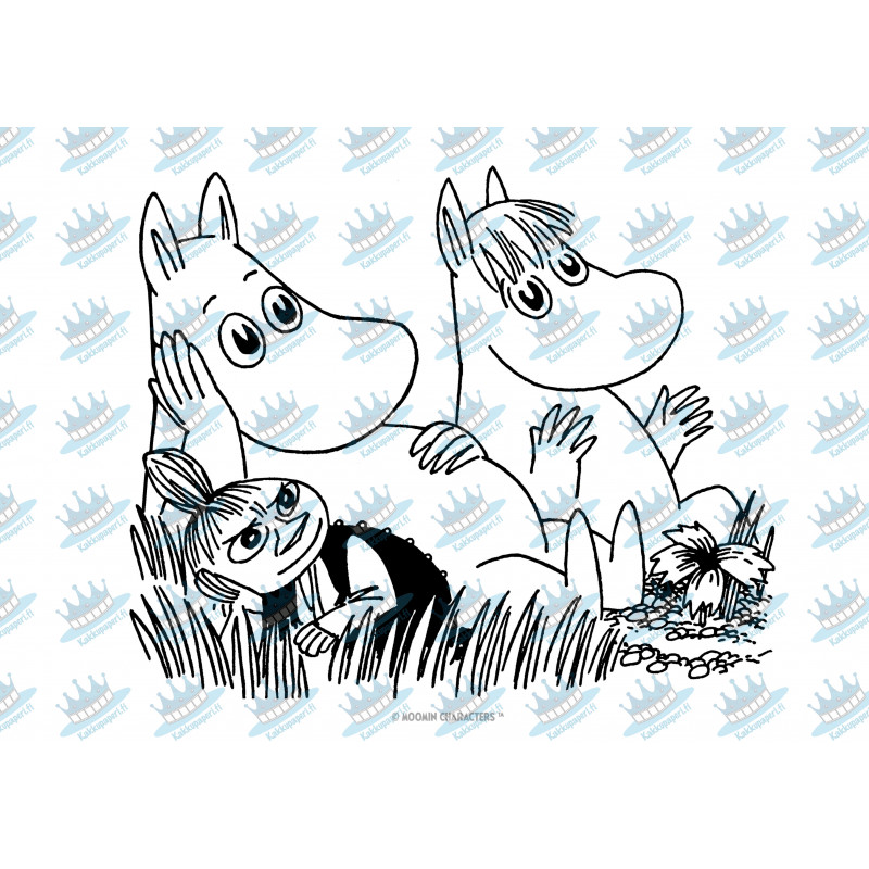 Syötävä kakkukuva kakkuun omasta kuvasta alkaen 5.99 EUR. Kuva kakkuun ...