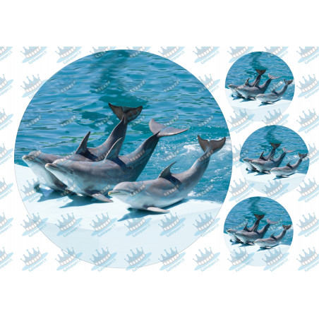 Delfiinit - Syötävä kakkukuva kakkuun