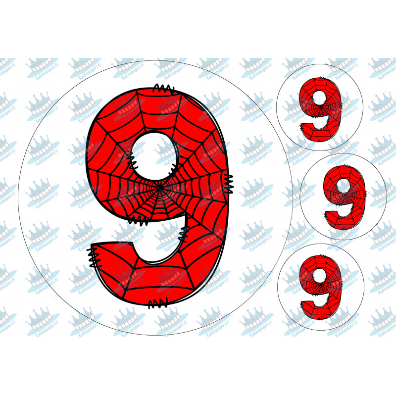 Spider web number nine - edible cake decoration